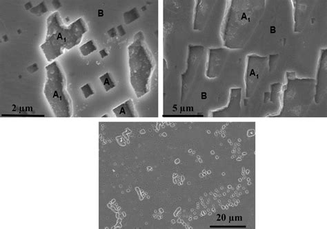 Sem Images With A Graphene Synthesis Duration Of 5 Min A A1 Is The