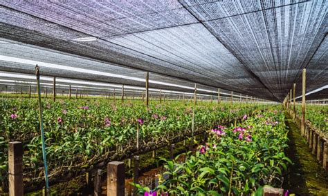 How Does Shade Cloth Work Uncovering The Mystery