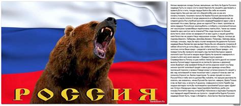 Картинки Медведь На Фоне Флага России - 57 фото