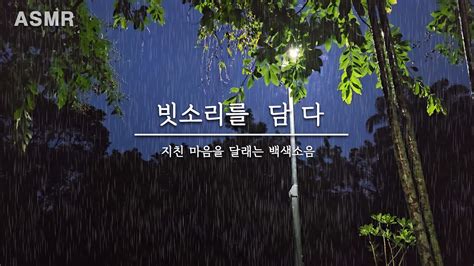 저녁시간 공원의 가벼운 빗소리 Asmr 긴장 완화와 마음의 안정을 위한 백색소음 스트레스 해소 이명 완화 집중력 향상 음악 자연의 소리 비멍 Youtube