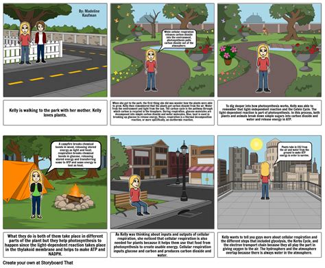 Biology Storyboard By Madeline Kaufman Storyboard