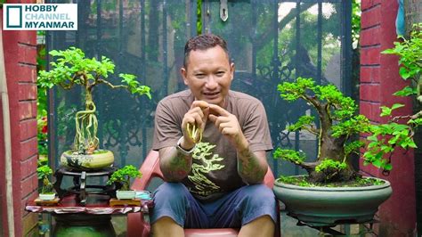 တောင်ဒဂုံက အလန်းစားဘွန်ဇိုင်းခြံ ဘွန်ဇိုင်း Youtube