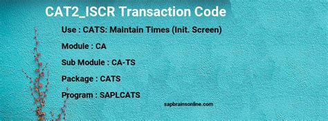 CAT2 ISCR SAP Tcode For CATS Maintain Times Init Screen