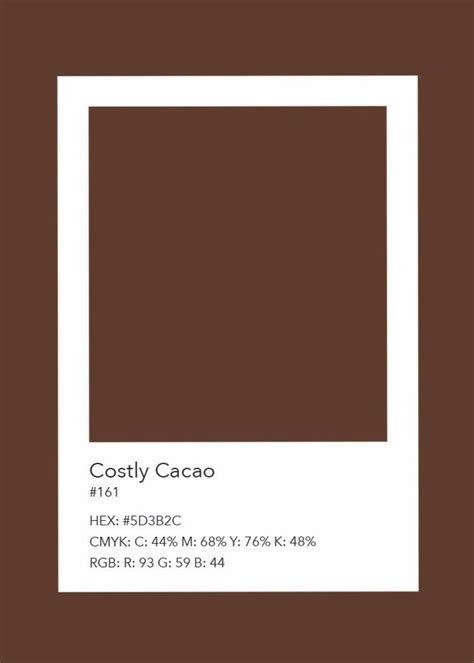 Costly Cacao 161 Pantone Color Pantone Things To Think About