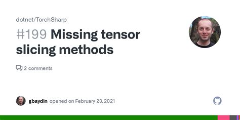Missing Tensor Slicing Methods Issue Dotnet Torchsharp Github