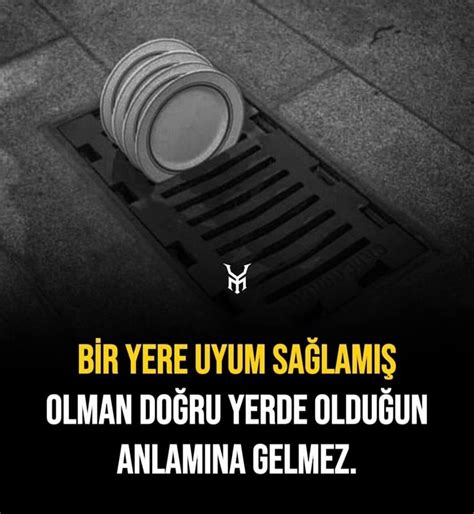 Kübra Aysu Posted On Linkedin