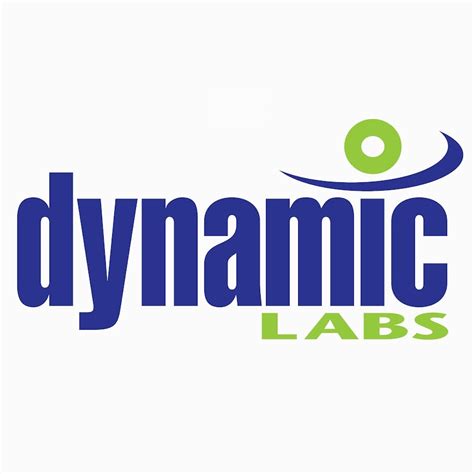Dynamic Labs Youtube