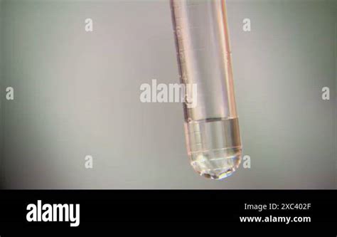 Cdc Scientists In Appropriate Personal Protective Equipment Perform