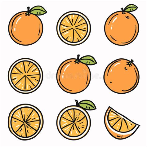 Sketches Of Oranges Isolated Stock Illustration Illustration Of