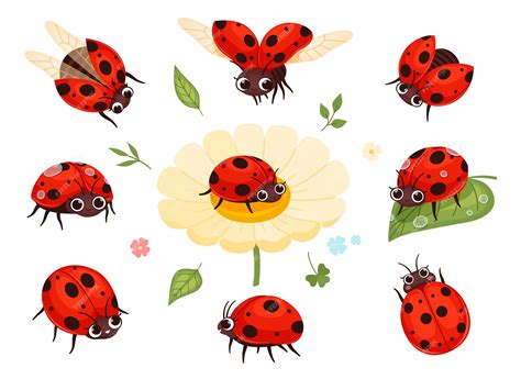 Premium Vector Red Ladybugs View Nature Bugs Flying Summer Insects Macro Closing Nowaday