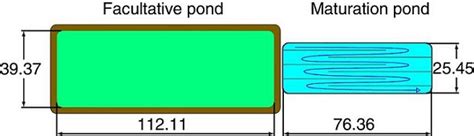 Mathematical Modeling And Optimization In The Design Of A Maturation Pond