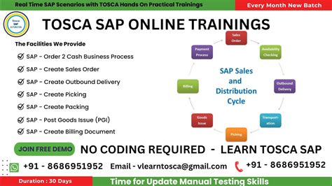Sap Testing Tosca Automation Dex Aos Jenkins Integrations Api Youtube