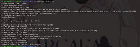 在wsl上安装并配置zsh Lost Pieces