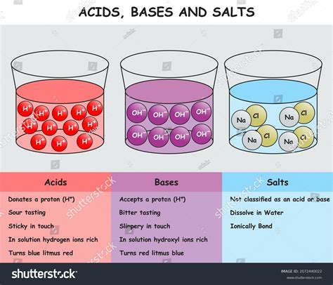 Acids Bases Salts Infographic Diagram Showing Stock Vector Royalty Free