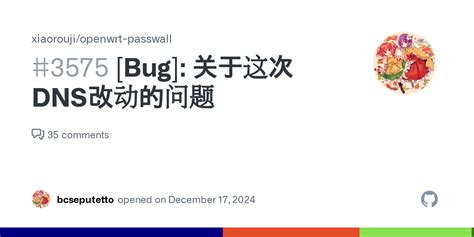 Bug 关于这次dns改动的问题 · Issue 3575 · Xiaoroujiopenwrt Passwall · Github