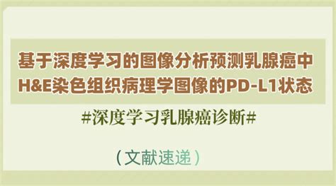 文献速递：深度学习乳腺癌诊断 基于深度学习的图像分析预测乳腺癌中hande染色组织病理学图像的pd l1状态 知乎