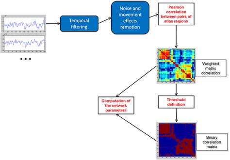 Construction Of Weighted And Binary Correlation Matrices Of The Brain Download Scientific Diagram