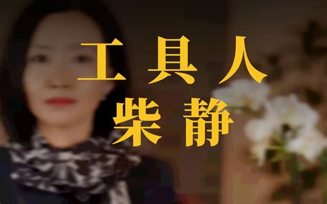 工具人柴静的真正问题智先生 智先生在此 智先生在此 哔哩哔哩视频