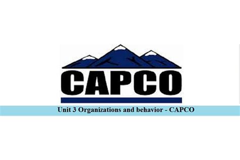 Unit 3 Organizations And Behavior Capco Locus Assignment Help