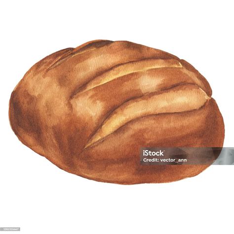 흰색 배경에 고립 된 빵 그림의 손으로 그린 수채화 덩어리 사실적인 음식 일러스트레이션 0명에 대한 스톡 벡터 아트 및 기타