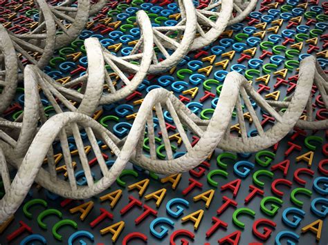 Factors To Consider When Selecting A Next Generation Sequencing Ngs