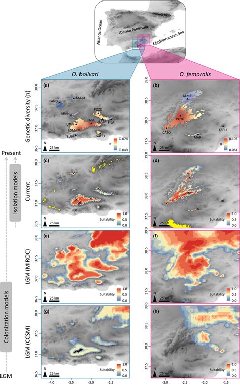 A B Spatial Patterns Of Genetic Diversity And Ch Environmental