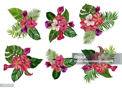수채화 열 대 꽃 그림의 집합입니다 식물 그림 디자인 인쇄 결혼식을 위한 꽃다발 고정 인사말 배경 화면 텍스처 래퍼 엽서 로고