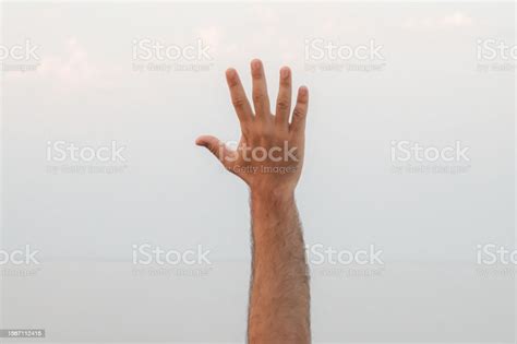 밝은 푸른 여름 하늘 자연 배경에 숫자 5 제스처 기호를 보여주는 손짓 몸짓 번호 5 수화에서 1 위 다섯 번째 다섯 가지 개념을 세고 있습니다 5 손가락 위로 사진