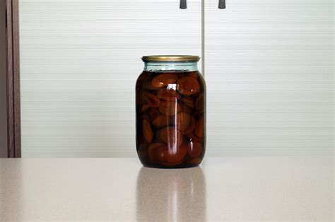 살구 잼이 있는 금속 뚜껑이 있는 유리 항아리 홈 키친 집에서 과일을 수확하고 보존합니다 0명에 대한 스톡 사진 및 기타 이미지 Istock