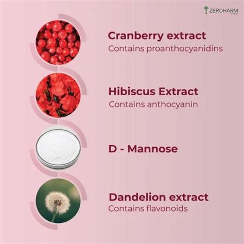 Urinary Tract Infection Tablets 60 Nos At ₹ 799stripe In Hyderabad Id 2851318827533