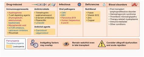 Abdelhamid Aboghanem On Linkedin 🫘🩸 Causes Of Post Transplant Cytopenias💝
