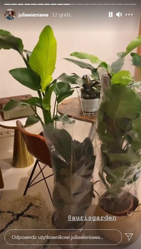 Miejska Dżungla W Mieszkaniu Wieniawy Tak Mieszka Aktorka Kozaczek