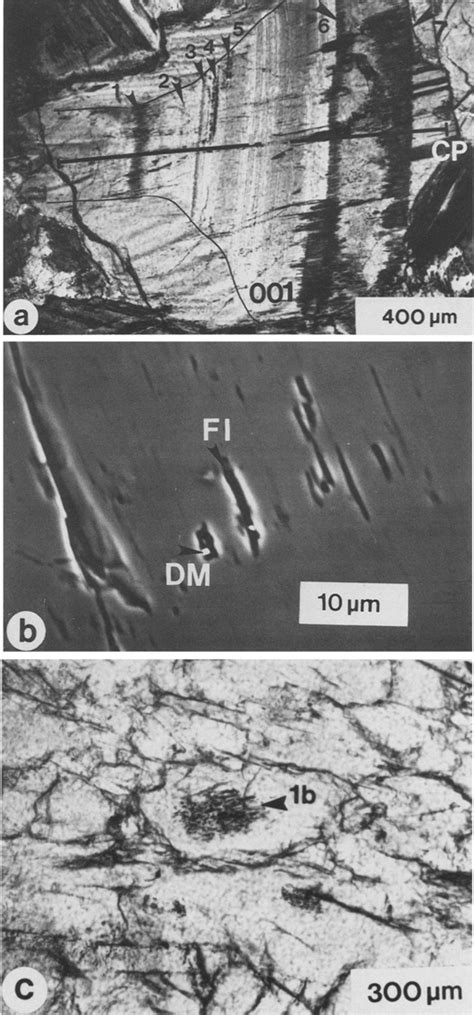 A Oscillatory And Sector Zoned Pyroxene See Sketch In Fig 4 For Download Scientific Diagram