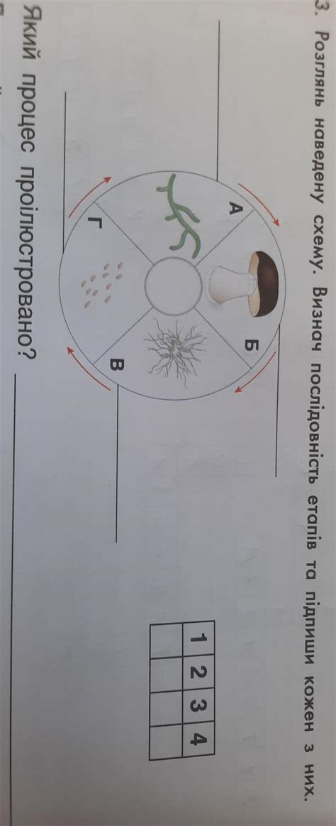 3 Розглянь наведену схему Визнач послідовність етапів та підпиши кожен з них A Б В Г• Який