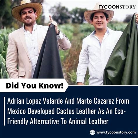 Haritha Mathi On Linkedin Didyouknow Didyouknow Amazingfacts Cactusleather Sustainablefashion