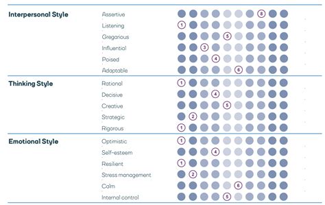 Insights Report Deeper Insights Into Candidate Personality
