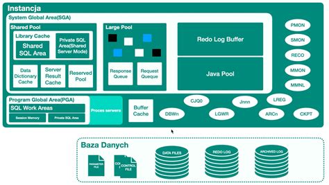Architektura Bazy Danych Oracle Database Budowa Systemu Dbadmin