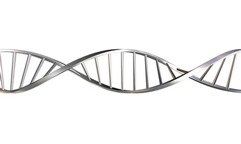 Apa Itu Rna Berikut Pengertian Struktur Jenis Fungsi Dan Contohnya