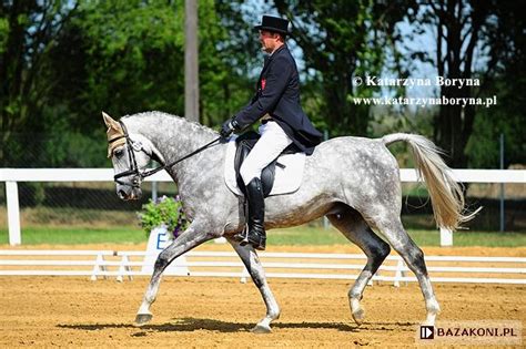 Bazakoni Pl Karta Konia Ogier Sex First Des Termes Sonia