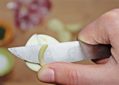 დღესვე დაჭერით ნიორი ნივრის გულებით მომზადებულ ნაყენს უკვდავების ელექსირს უწოდებენ