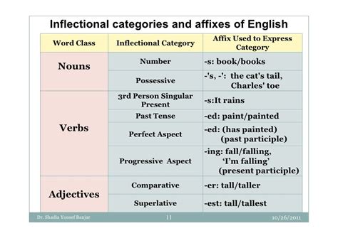 Inflectional Paradigms Morphology Dr Shadia Yousef Banjar