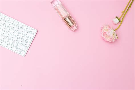 여자의 블로그에 대 한 분홍색 작업 공간입니다 공간 복사 0명에 대한 스톡 사진 및 기타 이미지 0명 꽃 식물 매스컴