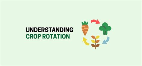 Understanding Crop Rotation A Key Strategy For Indian Farmers