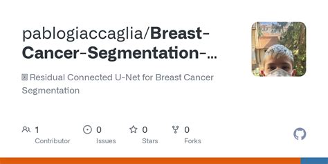 Github Pablogiaccagliabreast Cancer Segmentation Rwnet 🩻 Residual