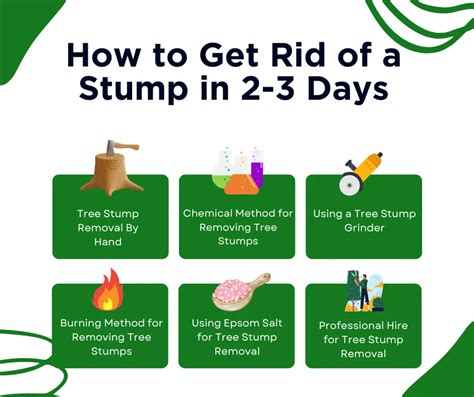 How To Get Rid Of A Stump In Days Tree Stump Removal