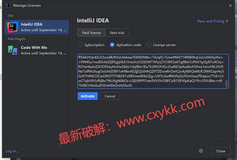 【2025最新版】intellij Idea 2025 1 1 安装与永久激活全流程教程（激活码 破解补丁） 吾爱破解