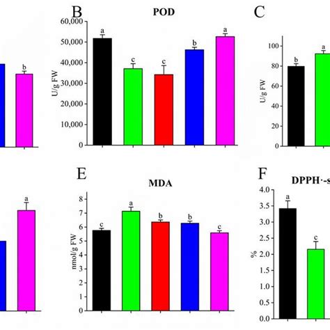 The Levels Of Sod A Pod B Cat C Gsh D Mda E And Dpph • Download Scientific