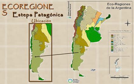 Ecorregión Terrestre De La Estepa Patagónica Ecured
