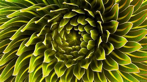 【github Pages使用教程】从头开始搭建自己的github Pages，打造个人博客网站，展示个人简历、项目、文档