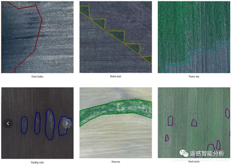 遥感影像语义分割数据集aerial Image Segmentation Dataset Csdn博客